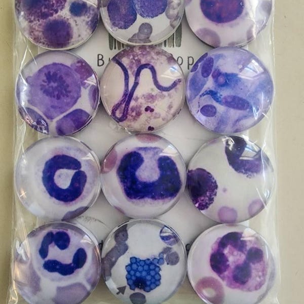 Veterinary Gift, Vet Gift, Parasite Magnets, Hematology, RVT Gift, Vet ...