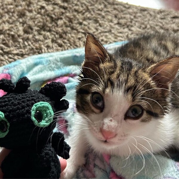 Valorant Reyna, Valorant Reyna Plushie, Valorant Reyna Doll, Amigurumi ...