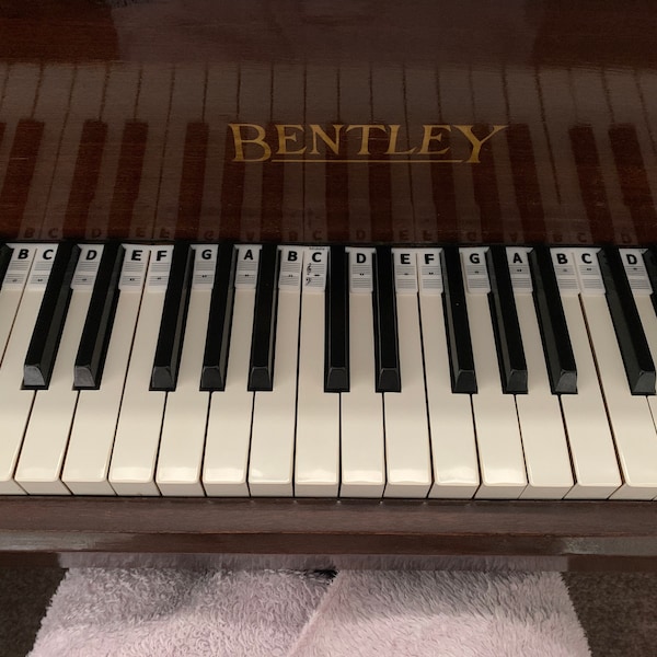 The Piano Rake (piano Guide) | Learn Notes Instantly | Ultimate ...