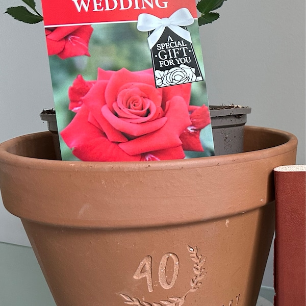Ruby Wedding Rose - 40th Wedding Anniversary Gift - Help Celebrate a ...
