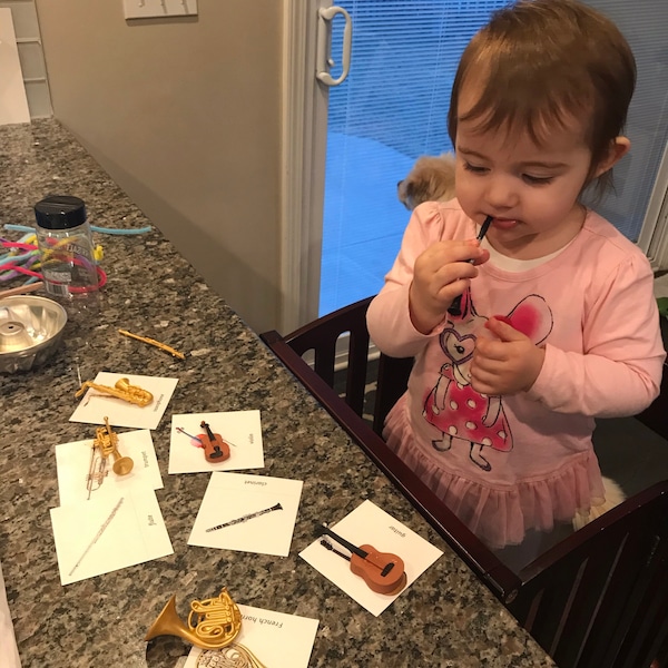 Montessori Common Flowers 3 Part Cards Miniatures Home School Classroom ...