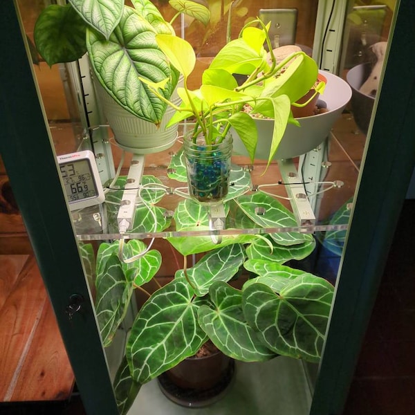 Milsbo Tall Set of 3 Sizes Shelves for IKEA Indoor Greenhouse Cabinet ...