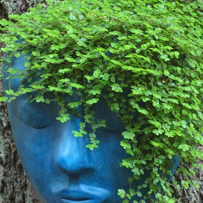 Face Wall Planter concrete NO PLANTS - Etsy