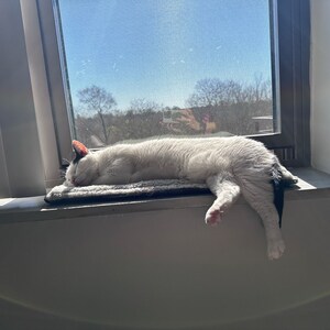 Window Sill Cat Pad/ 8 Sill Pad - Etsy