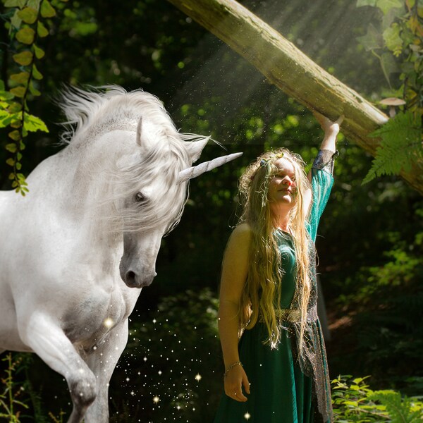 Unicorns Overlay Photoshop Overlays for Photoshop, Digital Scrapbooking ...