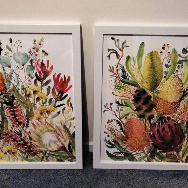 Australian Native Flower Art Prints, Aussie Flora Wall Art Set of 2 ...