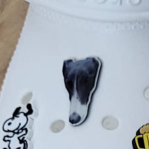 Custom Croc Charm Personalised Pet Croc Jibbitz Handmade - Etsy