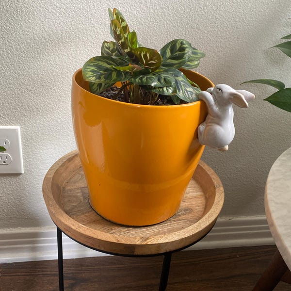 Bunny Rabbit Pot Hugger for Flower Pot • Gardening Gifts • Unique ...
