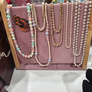 Spiny Jewel Box Sea Shells, Jewel Box Shells, Sanibel Sea Shells ...