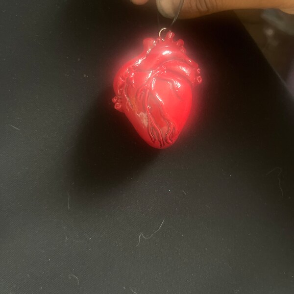 Anatomical Heart Magnet Set, Medical Human Organs Kitchen Magnet, EMS ...