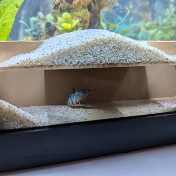 Aquarium Underground Cave Hide Fish Tank Decoration, Kuhli Loach Dojo ...
