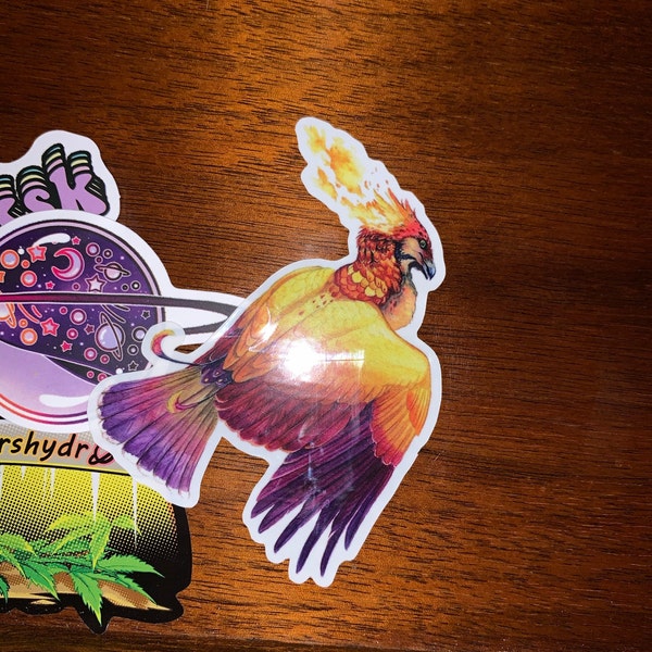 Vinyl Bird Stickers - 7 Designs to Choose From - Hawk Falcon Owl Raven ...