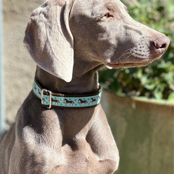 Soldiers Dog Collar, Boy Dog Collar, Blue Dog Collar, Red Dog Collar ...