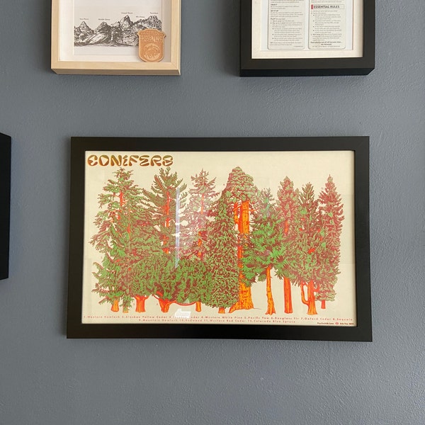 RISO 11 X 17 Conifer Tree Poster - Etsy