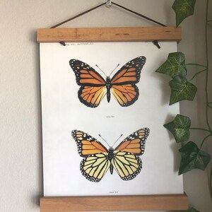 Vintage Butterfly Print, Monarch Butterfly Poster Insect Illustration ...