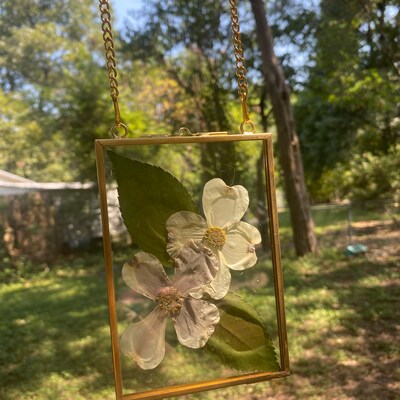 60 Pc Pressed Flowers Anemone Buttercup Periwinkle Daffodil Lenten Rose ...