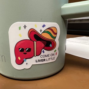 Cute Kidney Sticker/ You've Got to Be Kidney Me/ Kidney Stone/ Medical ...