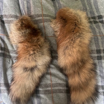Real Fox Tail, Fox Tail, Fox Tails, Red Fox, Red Fox Tail, Fox Fur ...