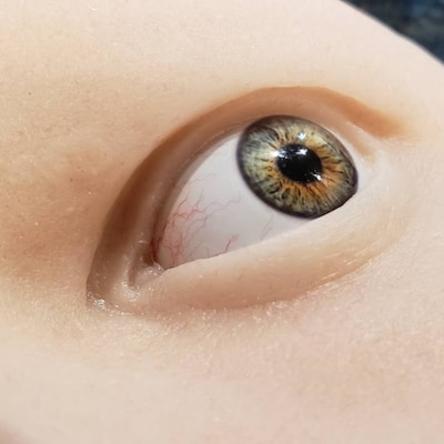 Un-painted Silicone Orbital Eye Display, Acrylic Eyes, Silicone Bust - Etsy