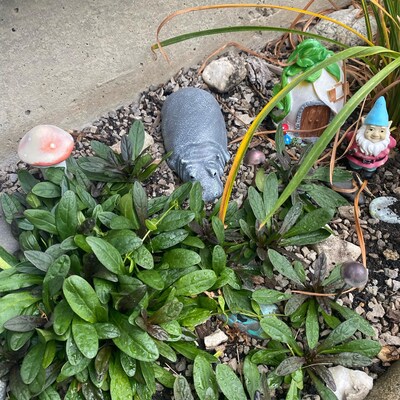 Elf in Tree Hole - Etsy