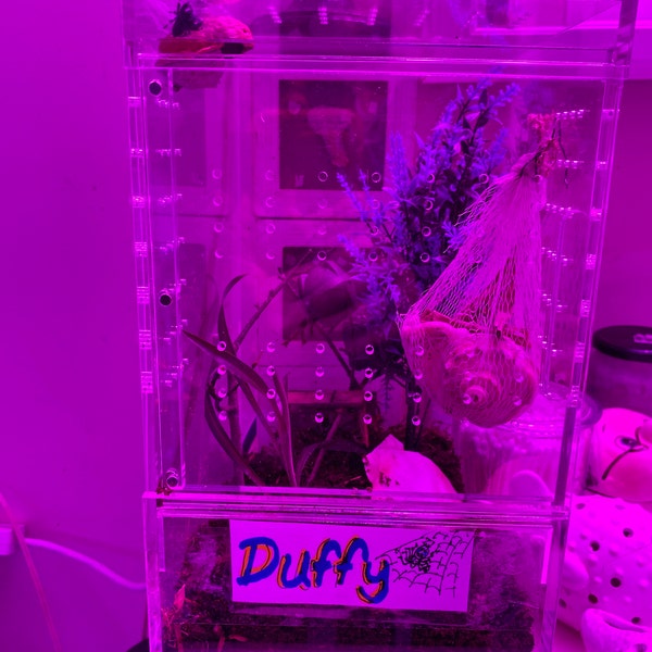 Bamboo Ring on a String Game Ring. Toss Game for Adults & Family Hook ...