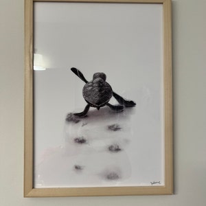 Baby Sea Turtles Graphite Drawing Prints A3 A4 A5 Signed - Etsy