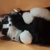 SEEU & Chongker He Hua Super Lifelike Plush Panda Dollpanda Fans Can't ...