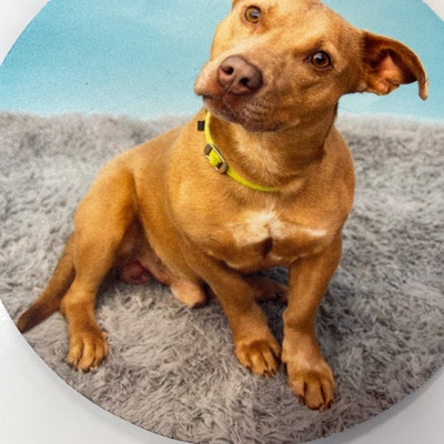 Custom Photo Round Mousepad Personalized Mouse Pad Photo Printed on ...