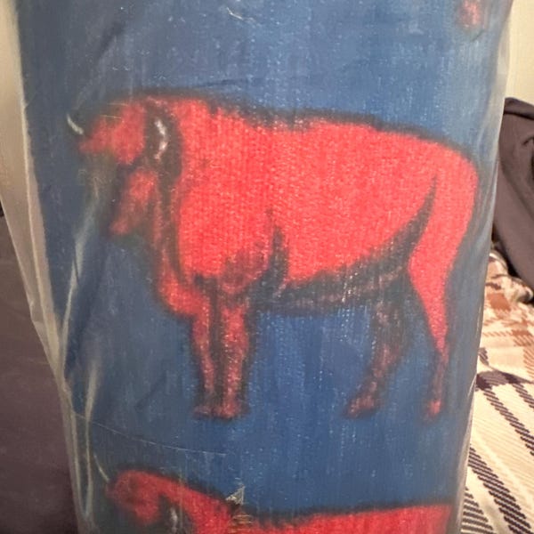 Pedro Pascal Mug, Pedro Pascal Fan Mug, Pedro Coffee Mug, BW Pedro ...