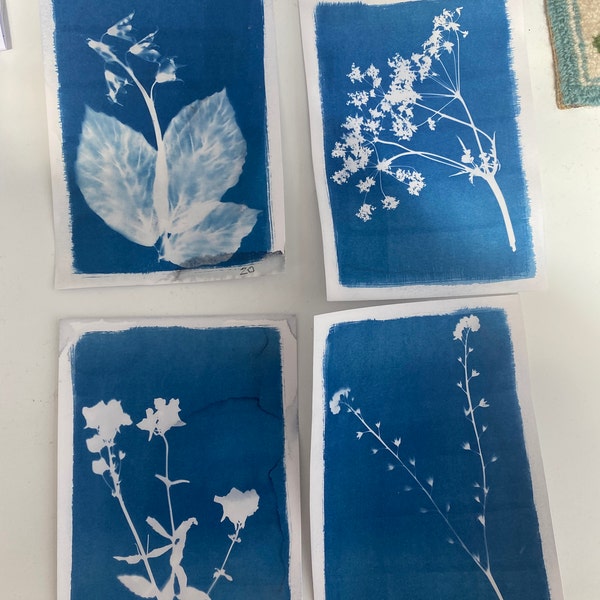 Cyanotype Kit: Easy to Use Sun Printing Kit by Daisy Bow Craft - Etsy
