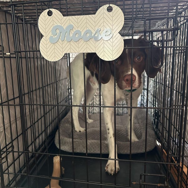 Personalized Wooden Dog Crate Sign, Puppy Kennel Nameplate, Custom ...