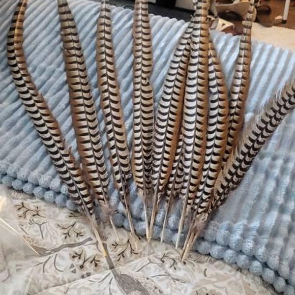 Natural Ostrich Wing Plumes - per 5 Feathers - Etsy