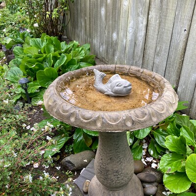 6 1/2 Long Happy Fish Tail up Garden Art Cement Concrete - Etsy