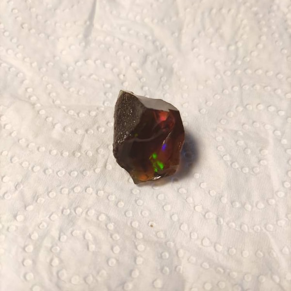 54.90cts Coral Raw, Natural Red Coral Rough Stone, High Quality Uncut ...