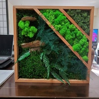 Moss Wall Art Hanging Frame - Etsy Canada