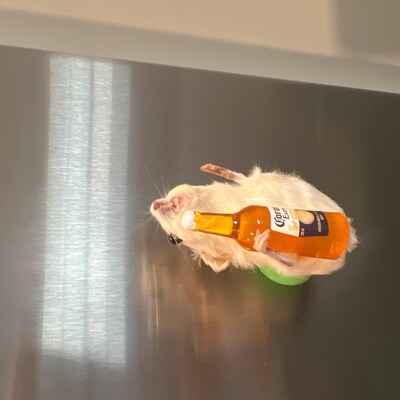 Cunning Linguist Mice - Etsy