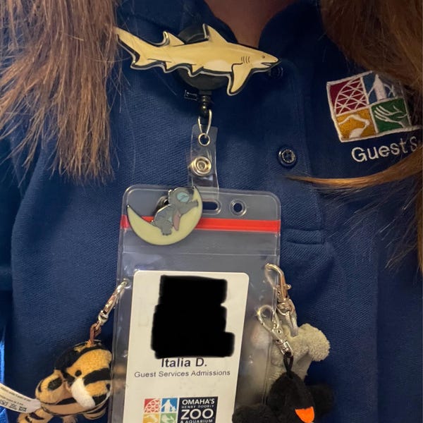 Red Panda Magnet: Gift for Red Panda Lovers Chinese Animal Cute Animal ...