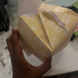 3D Camera Box Paper Craft Camera for Candy Photograph Photographer ...