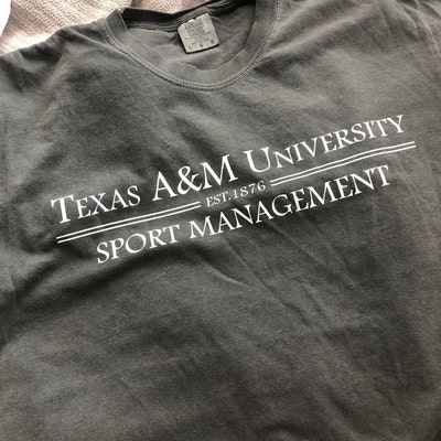 Everything is Under CTRL Comfort Colors Shirt, Computer Programmer T-shirt, Computer Science ...