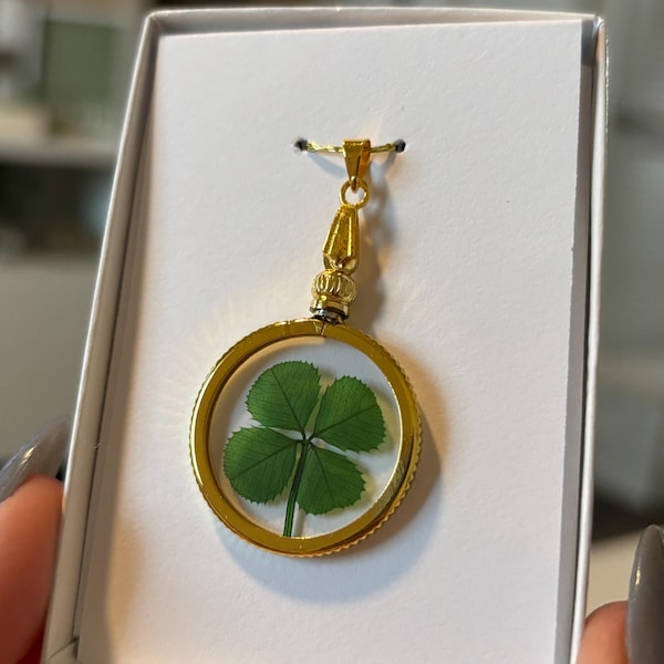 Good Luck Mahogany Frame With a Real Genuine Four Leaf Clover for Desk ...
