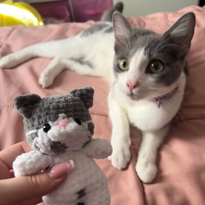 PRINTABLE Affirmation Cards for Kids Cute Animals Cards Positive ...