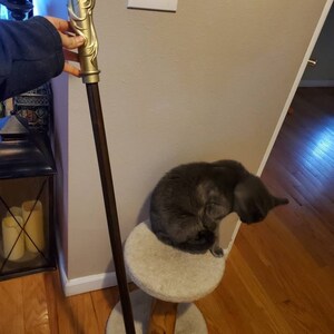 Crow Canehead - Etsy