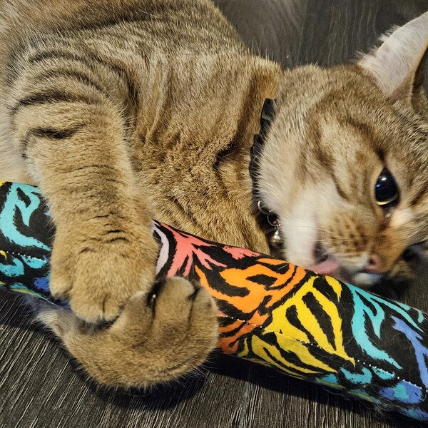 Catnip Kicker Cat Toy, 12 Inches Long, Filled With Polyester Filling ...