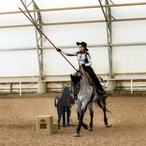 Black Aces Women's Western Show Shirt Horse Show Clothes Rhinestone ...