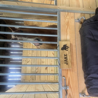 Goat Sign SMALL/ Horse Stall Name Plate/ Hand Routed Wooden Sign ...