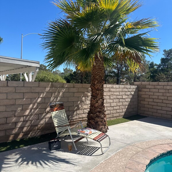 Rae Dunn New Peanuts Charlie Brown Pilgrim Head Thanksgiving Mug No ...