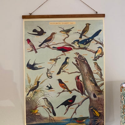 Test Tube Rack zebra Wood With Test Tubes - Etsy