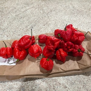 FRESH Gochugaru Fresh Gochu Pepper Hot Peppers Korean Hot Peppers ...