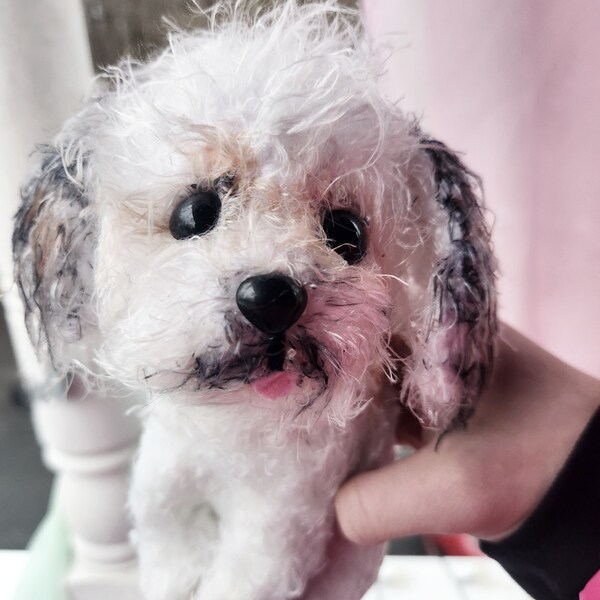 Custom Stuffed Dog, Custom Dog Plush, Custom Crochet Dog, Dog Replica ...