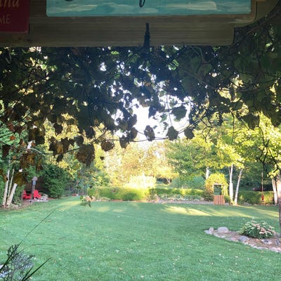 Happy Hour Sign Hanging Bar Sign Johnny Depp Quote Happy Hour Sign Bar ...